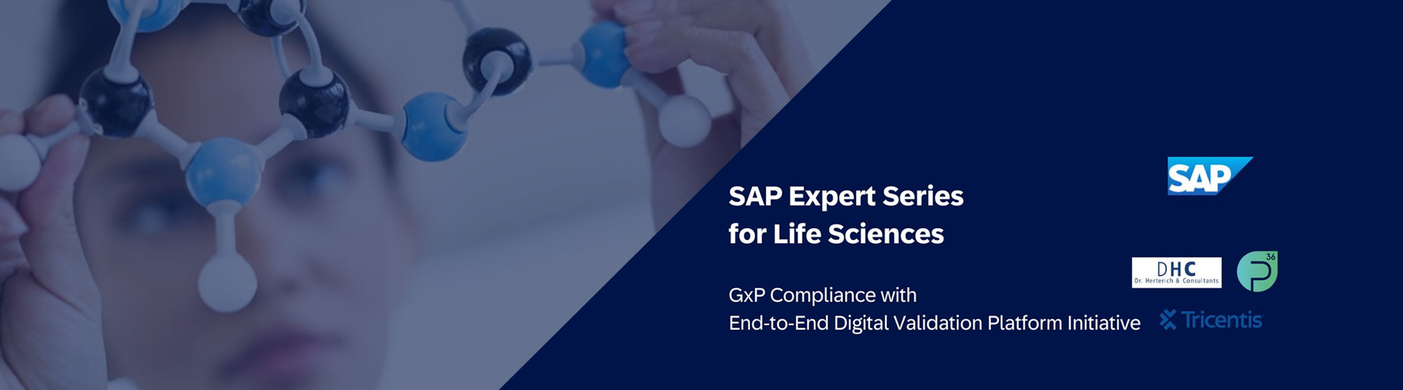 GxP Compliance with End-to-End Digital Validation Platform Initiative | EN - DHC Consulting